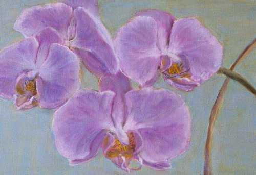Картина "Орхидеи" 20х30 маслом