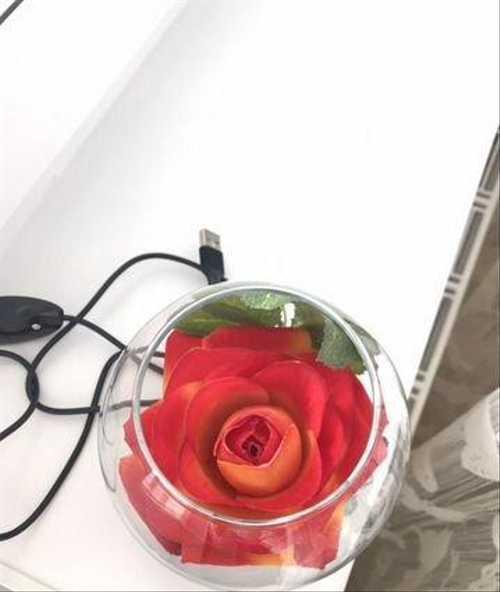 Роза в колбе новая с подсветкой и питанием Usb