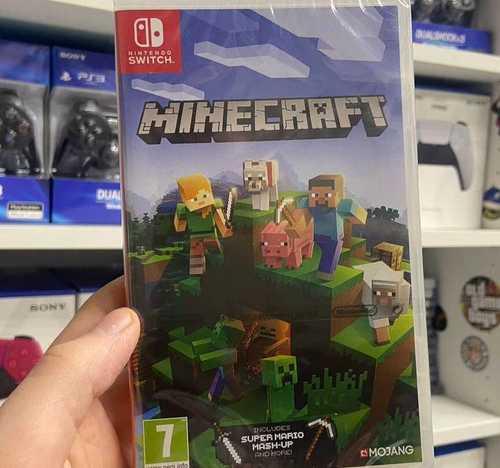 Minecraft Nintendo Switch