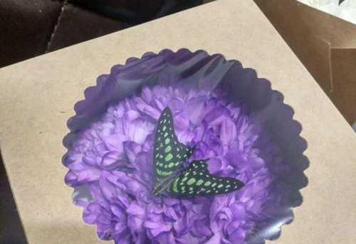Живая бабочка в коробке с цветами