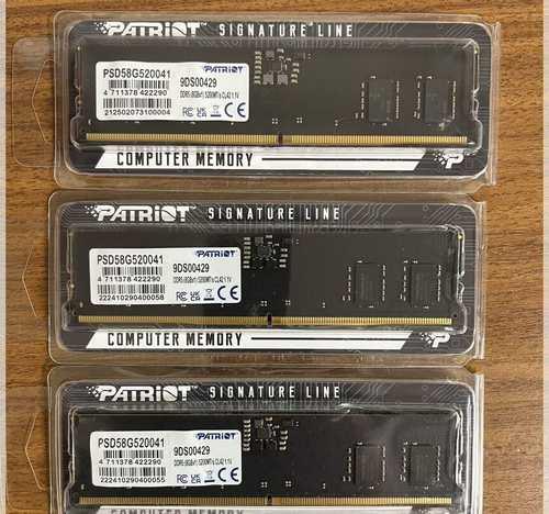 Память Patriot DDR5 8Gb 5200 Signature Line CL42