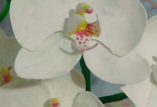 Орхидея фаленопсис из холодного форфора