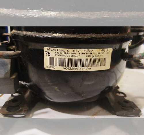 Компрессор Атлант ско-75 Н5-02