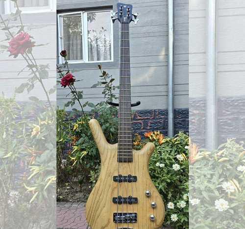 Warwick Corvette std