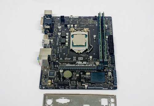 Комплект asus H310M-R Celeron G4920 8Gb DDR4