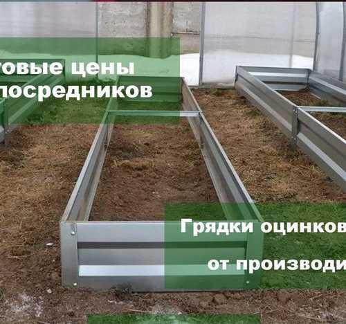 Грядки