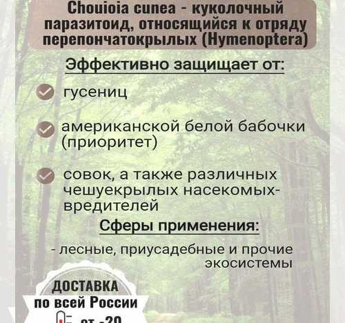 Chouioia cunea от Гусениц совок