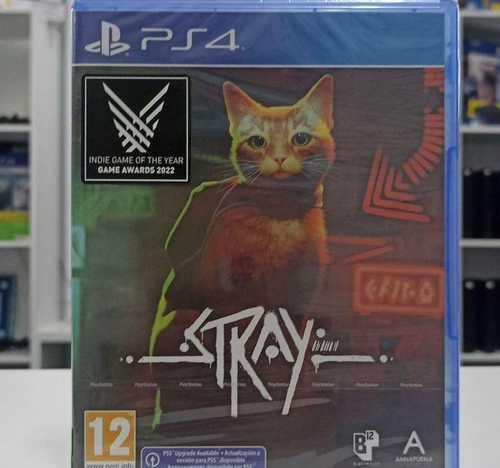 Stray (PS4) (PS5)