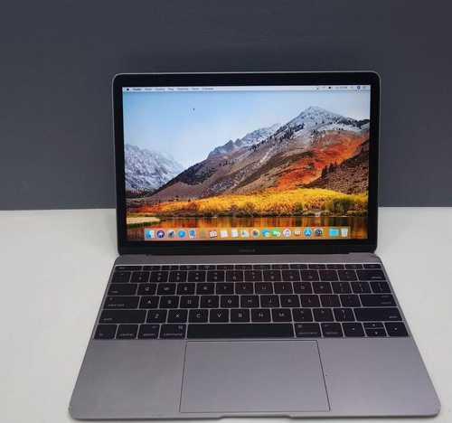 Ноутбук MacBook 12 2015 (M/8/256)
