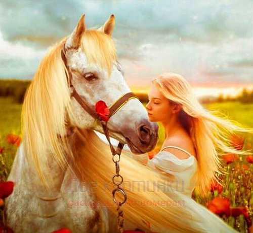 Картина по номерам 40x50 Белая лошадь и девушка на