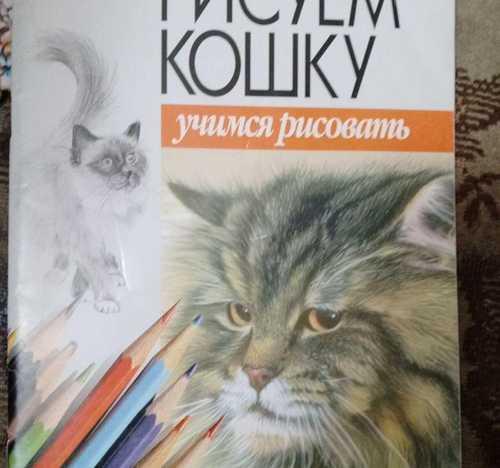 Рисуем кошку, учимся рисовать. Минск харвест