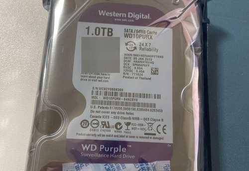 Жесткий диск 1TB WD10purx новый
