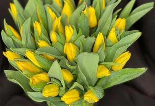 Букет из 33 желтых тюльпанов