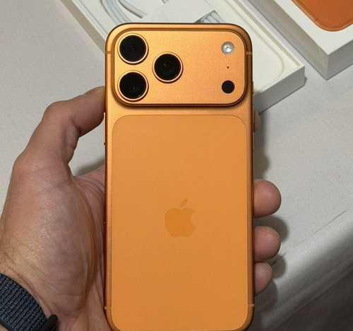 iPhone 17 Pro Max, 256 ГБ