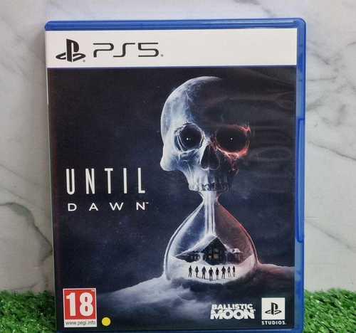 Диск на PlayStation 5 Until Dawn