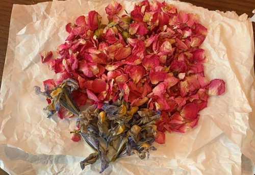 Сухоцветы лепестки бутон роза ирис