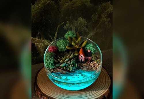Флорариум свет водоем дом букет подарок суккуленты