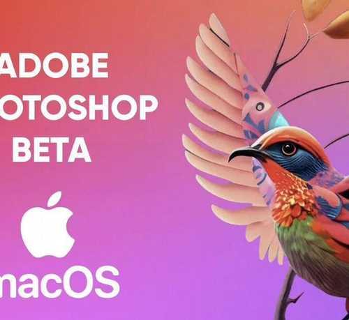 Adobe Photoshop beta 2023 (MacOs)