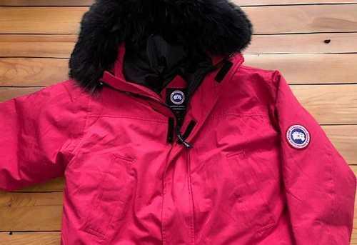 Аляска canada goose