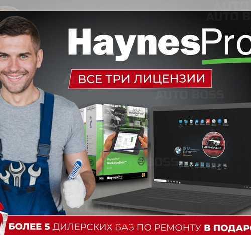 Электросхемы HaynesPro   Autodata online