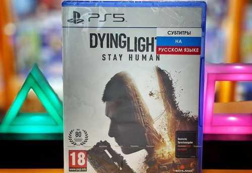 Игры PS5 Dying Light 2 (русс.субтитры)
