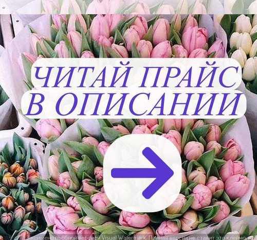 Тюльпаны оптом