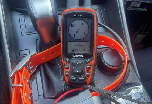 Garmin astro 320 Америка без ошейника