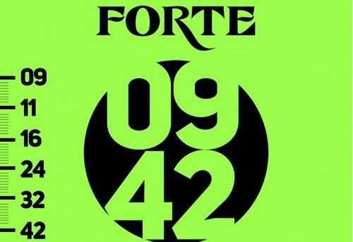 Струны Forte Ultracoat c полимерной плёнкой 09-42
