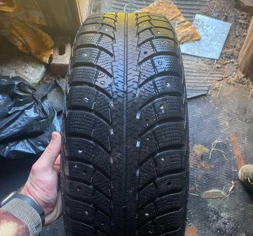Gislaved Nord Frost 5 185/65 R15 19B