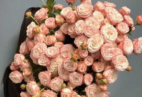 Пионовидные розы кустовые розы Мадам бомбастик