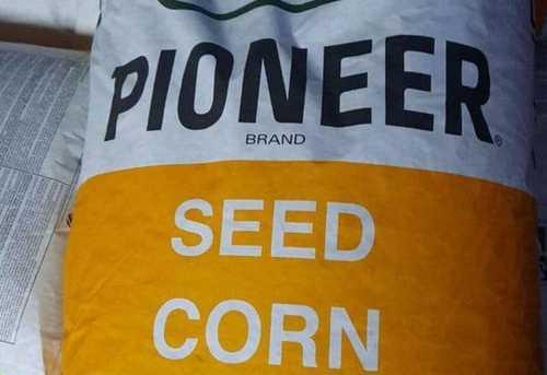 Семена кукурузы пионер п9127