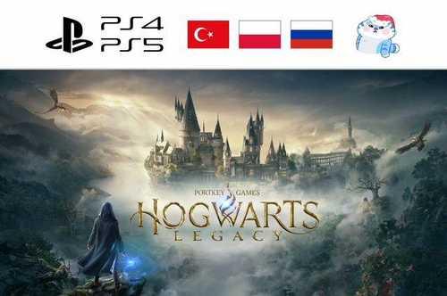 Hogwarts Legacy (PS4 & PS5)