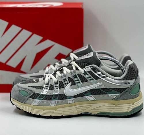 Кроссовки Nike P-6000 "Flat Pewter"