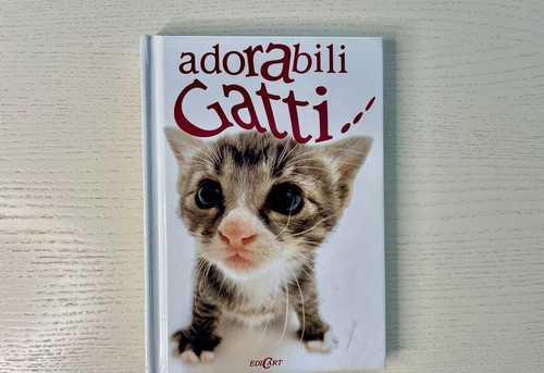 Книга на итальянском "Очаровательные кошки"