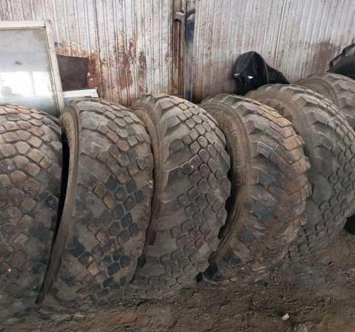 Шины Кама 1260 r21