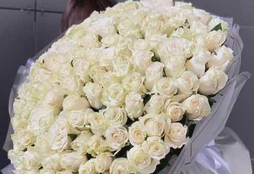 Цветы Розы Букет Доставка 51 роза 101 розв 45 25