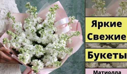 Букет Цветы Маттиола