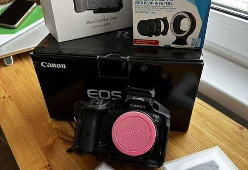 Canon EOS R7 + клетка + адаптер