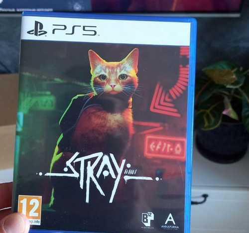 Stray ps5