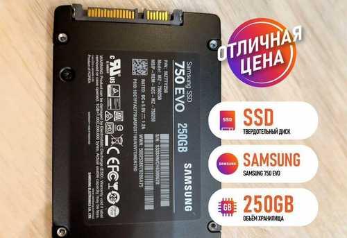 SSD Samsung 750 EVO 250GB