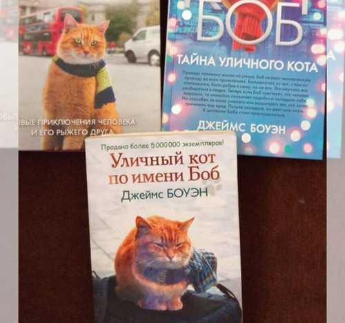 Уличный кот по имени боб. Джеймс Боуэн Серия книг