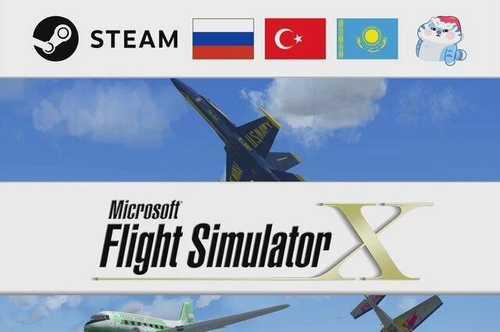 Microsoft Flight Simulator X (Steam)