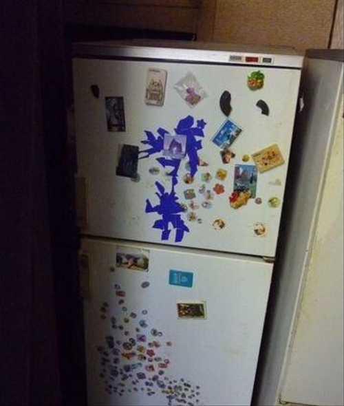 Холодильники "Бирюса", "Бирюса-2" и др
