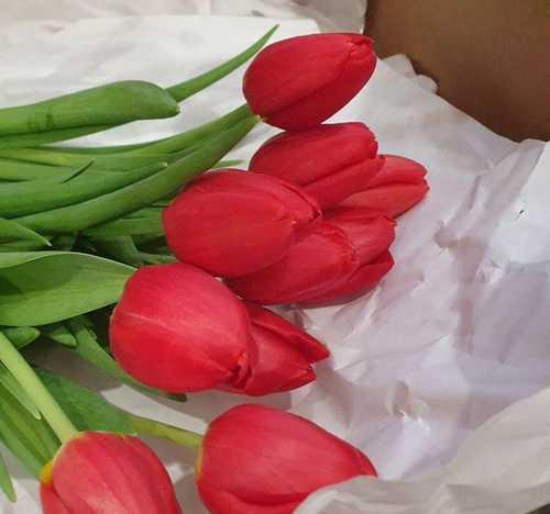 Тюльпаны в розницу к 8 марта