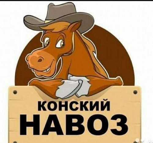 Чистый конский навоз
