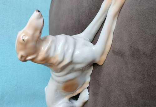 Статуэтка фарфор германия 1950-е Борозая собака