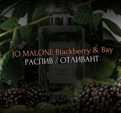 Jo Malone Blackberry & Bay Аромат Распив