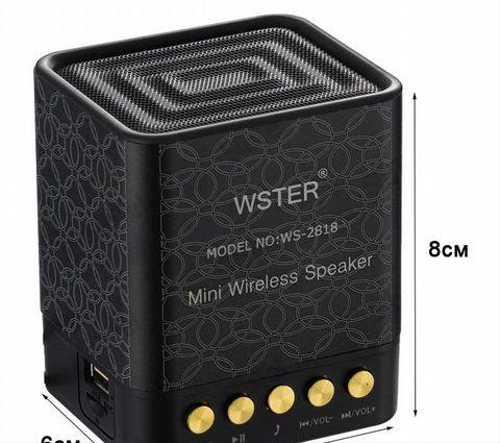 Колонка портативная Wster WS-2818 black