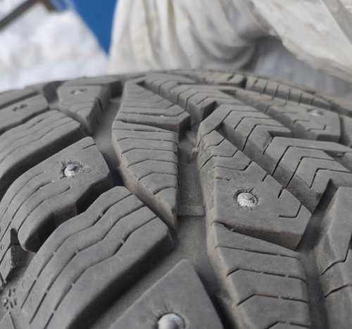 Tigar SUV Ice 215/65 R16 102T