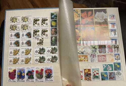 Коллекция почтовых марок флора